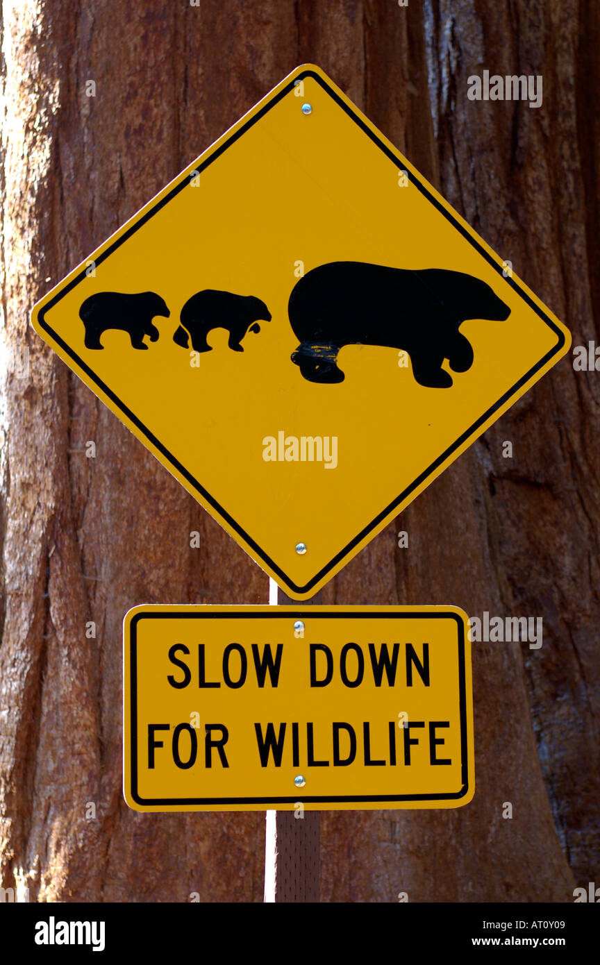 Wildlife caution sign, Sequoia National Park, California, USA Stock ...