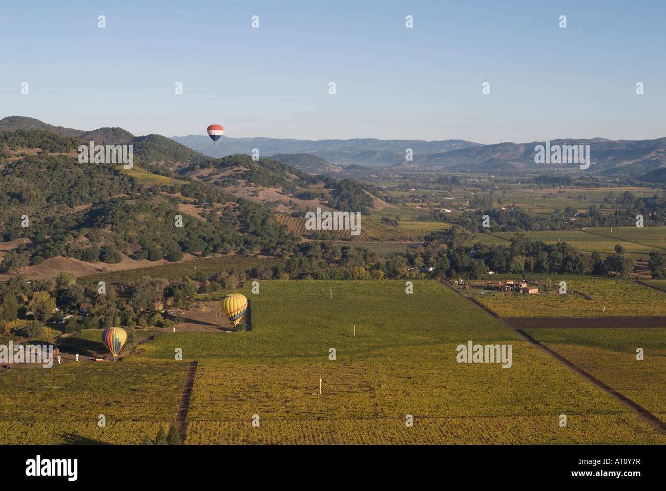 Hot air balloon flies above Napa Valley California Stock Photo - Alamy