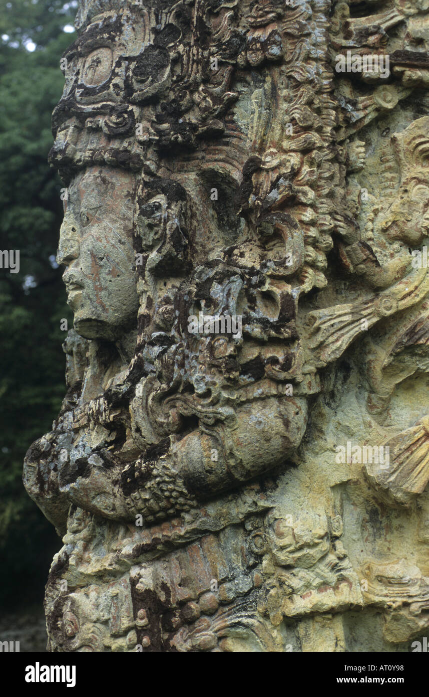 Maya stela Mayan ruins of Copan Honduras Stock Photo - Alamy