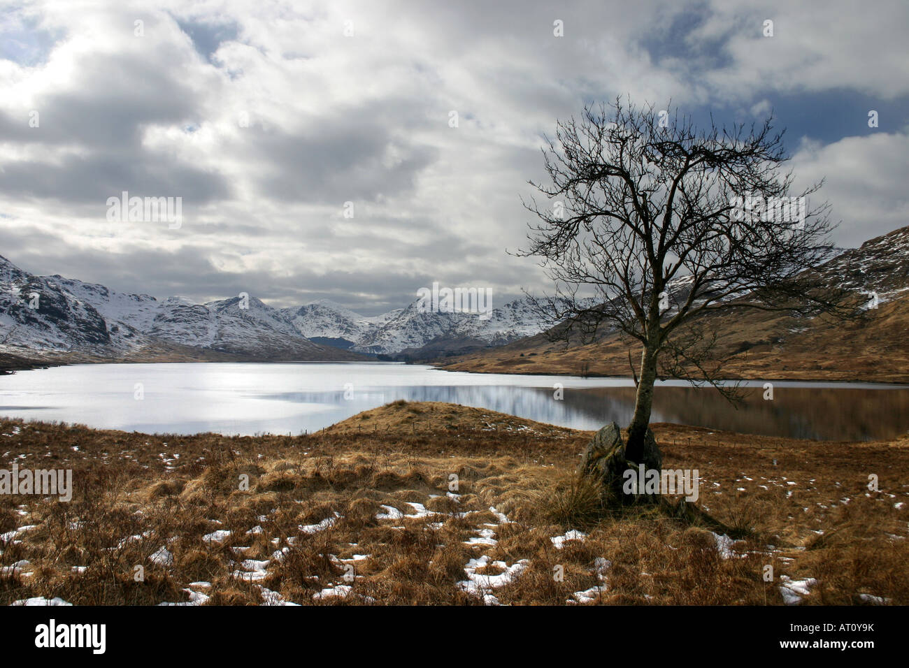 Loch lomong and the trossachs national park hi-res stock photography ...