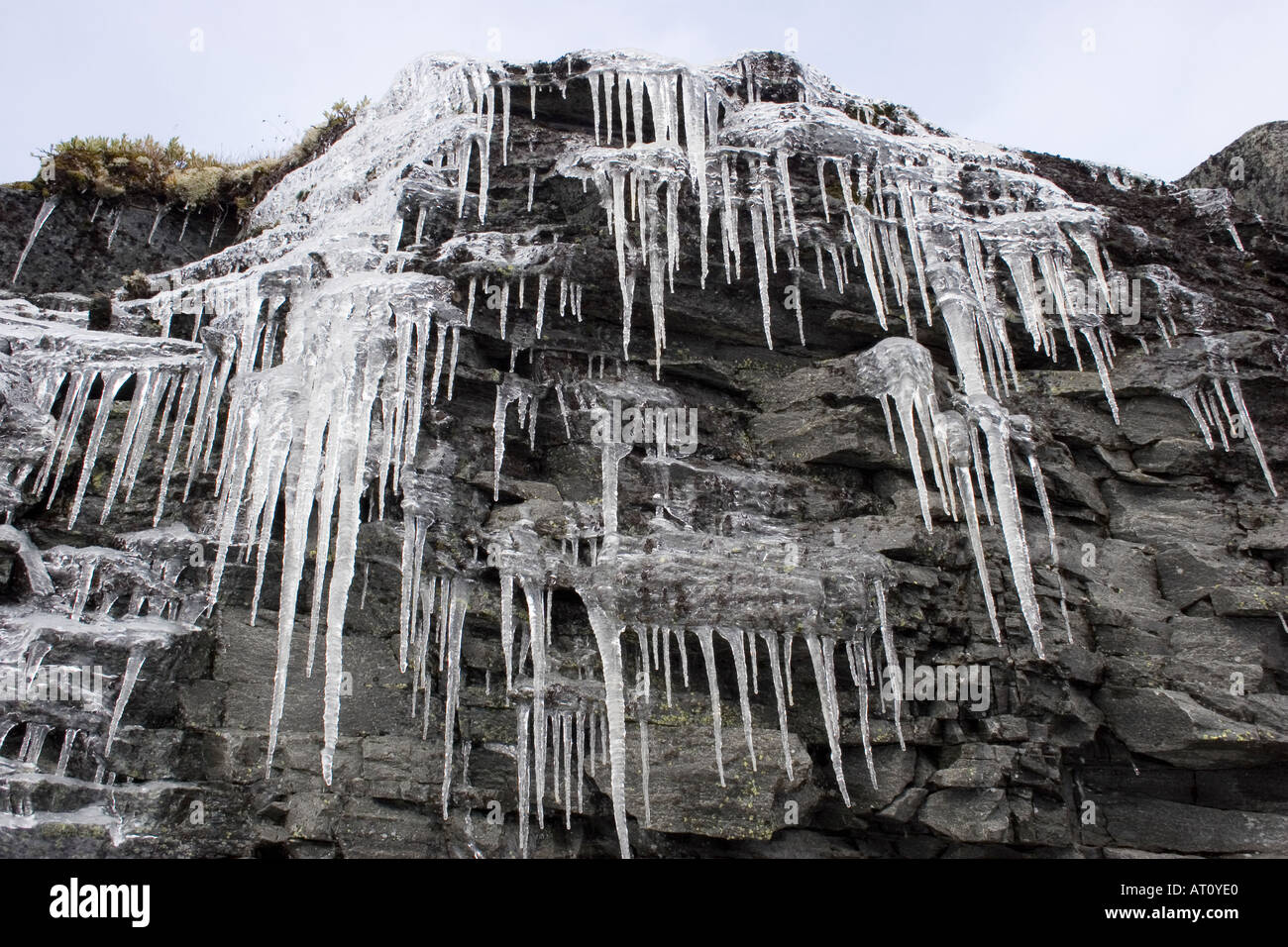 Icicles on face hi-res stock photography and images - Alamy