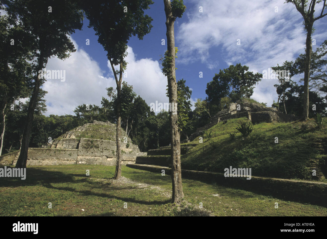 Twin pyramids Peten Guatemala Mayan art Stock Photo - Alamy