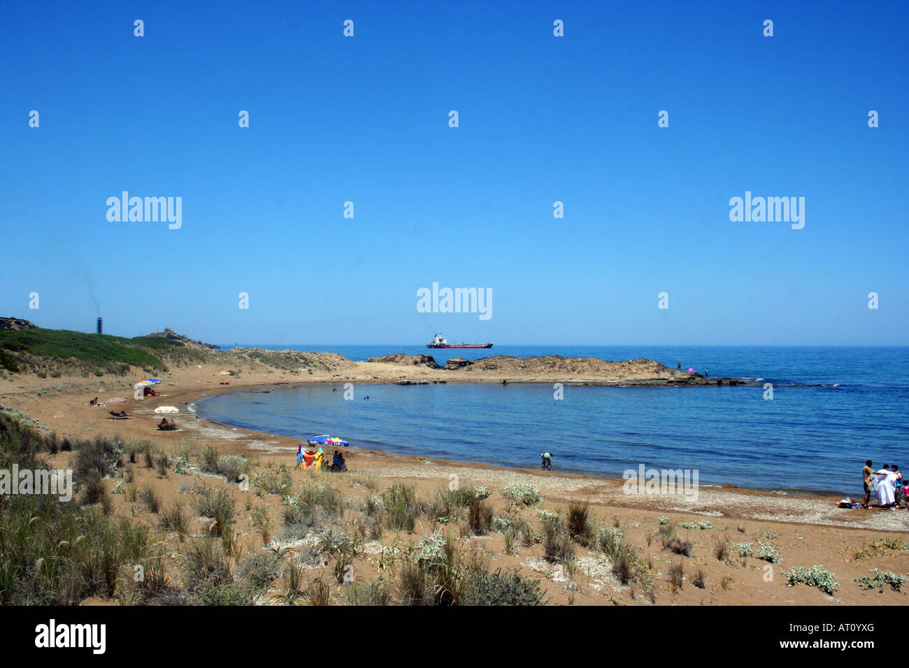 Green sea turtle cyprus hi-res stock photography and images - Alamy