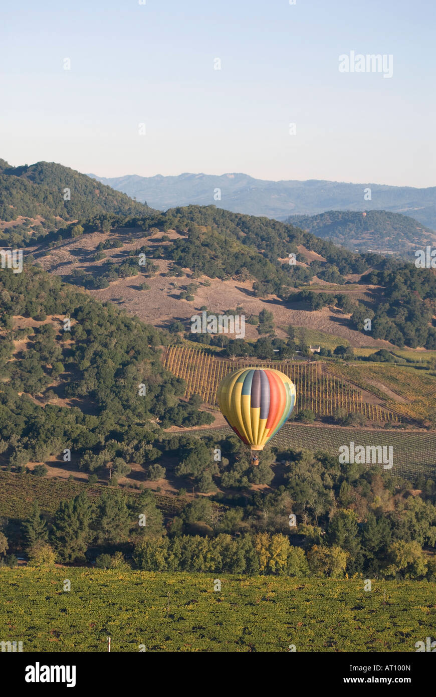 Hot air balloon flies above Napa Valley California Stock Photo - Alamy