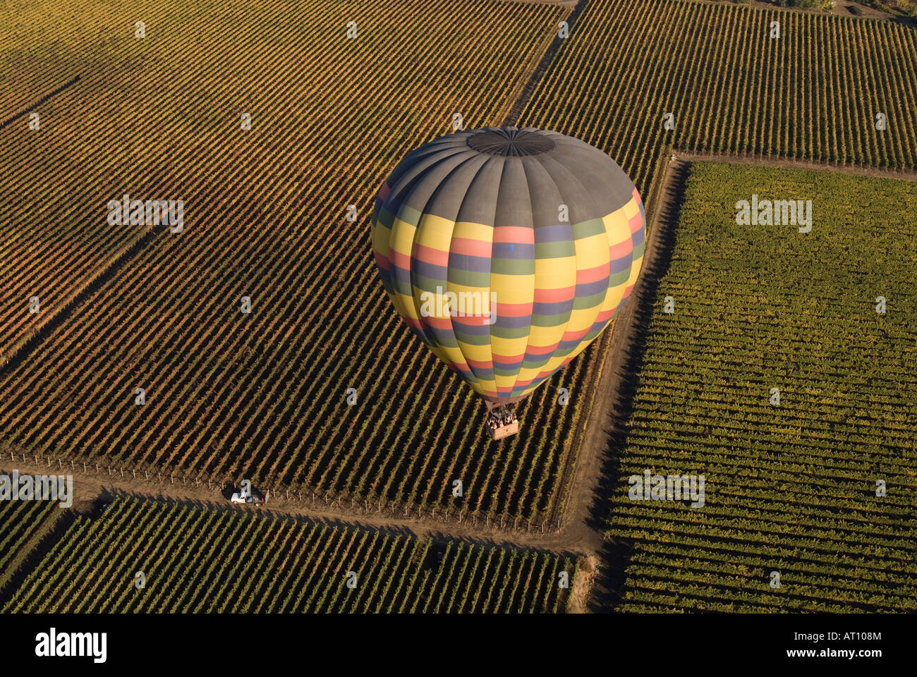 Hot air balloon flies above Napa Valley California Stock Photo - Alamy