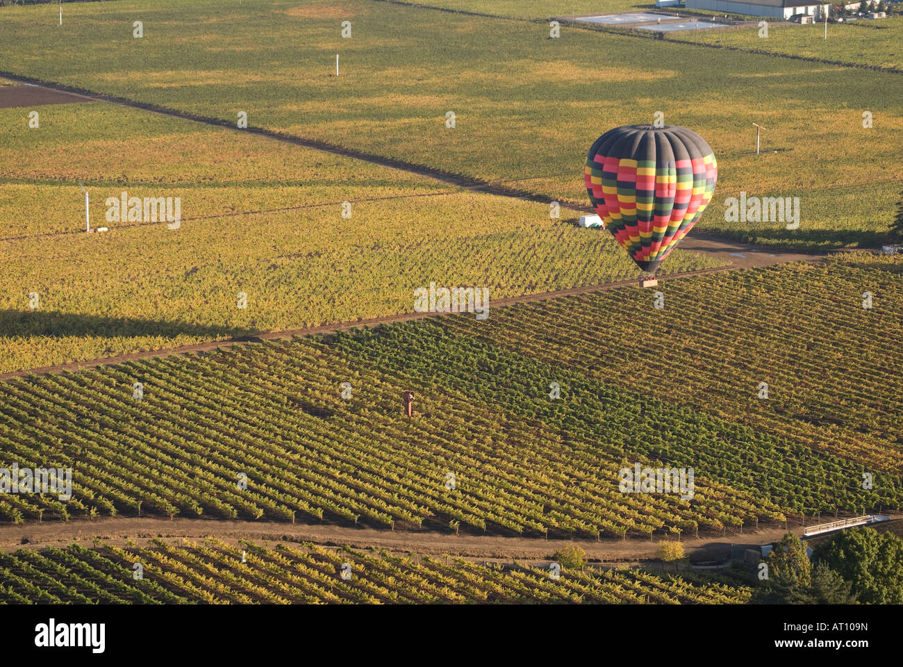 Hot air balloon flies above Napa Valley California Stock Photo - Alamy