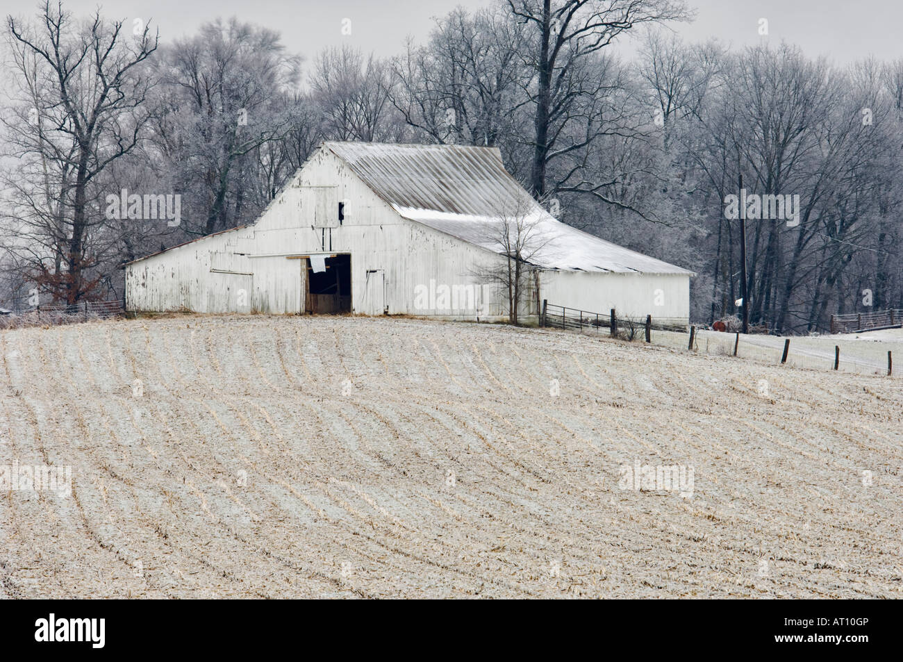 White Barn and Harvested Corn Field Covered in Snow Washington County ...