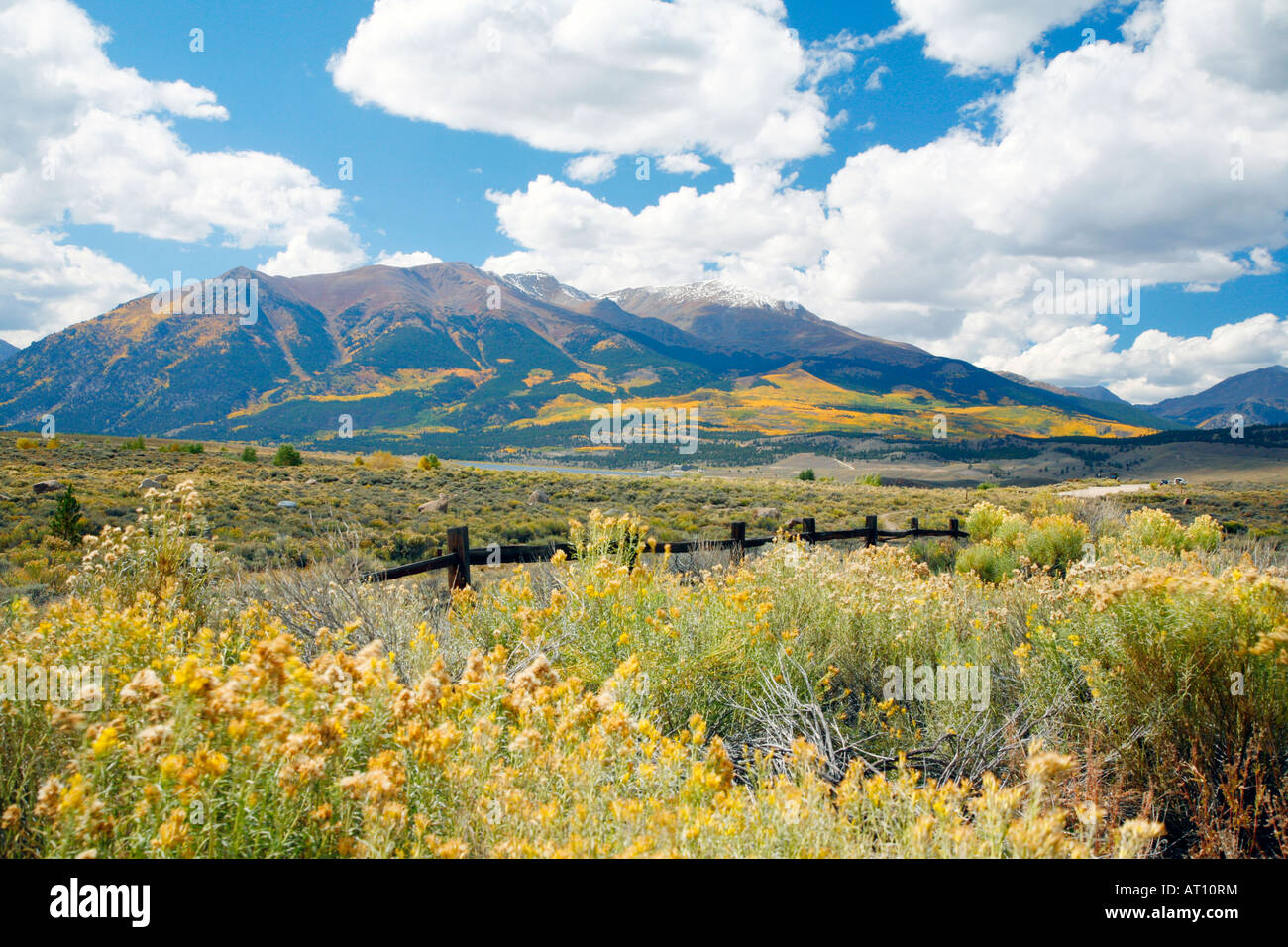 San Isabel National Forest in autumn, Colorado Stock Photo - Alamy