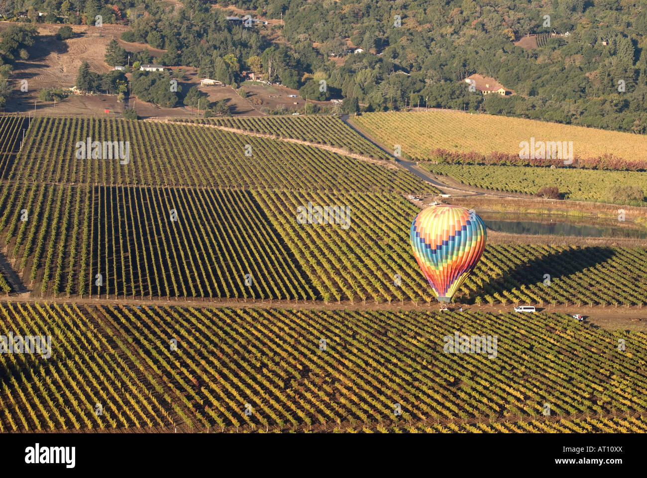Hot air balloon flies above Napa Valley California Stock Photo - Alamy