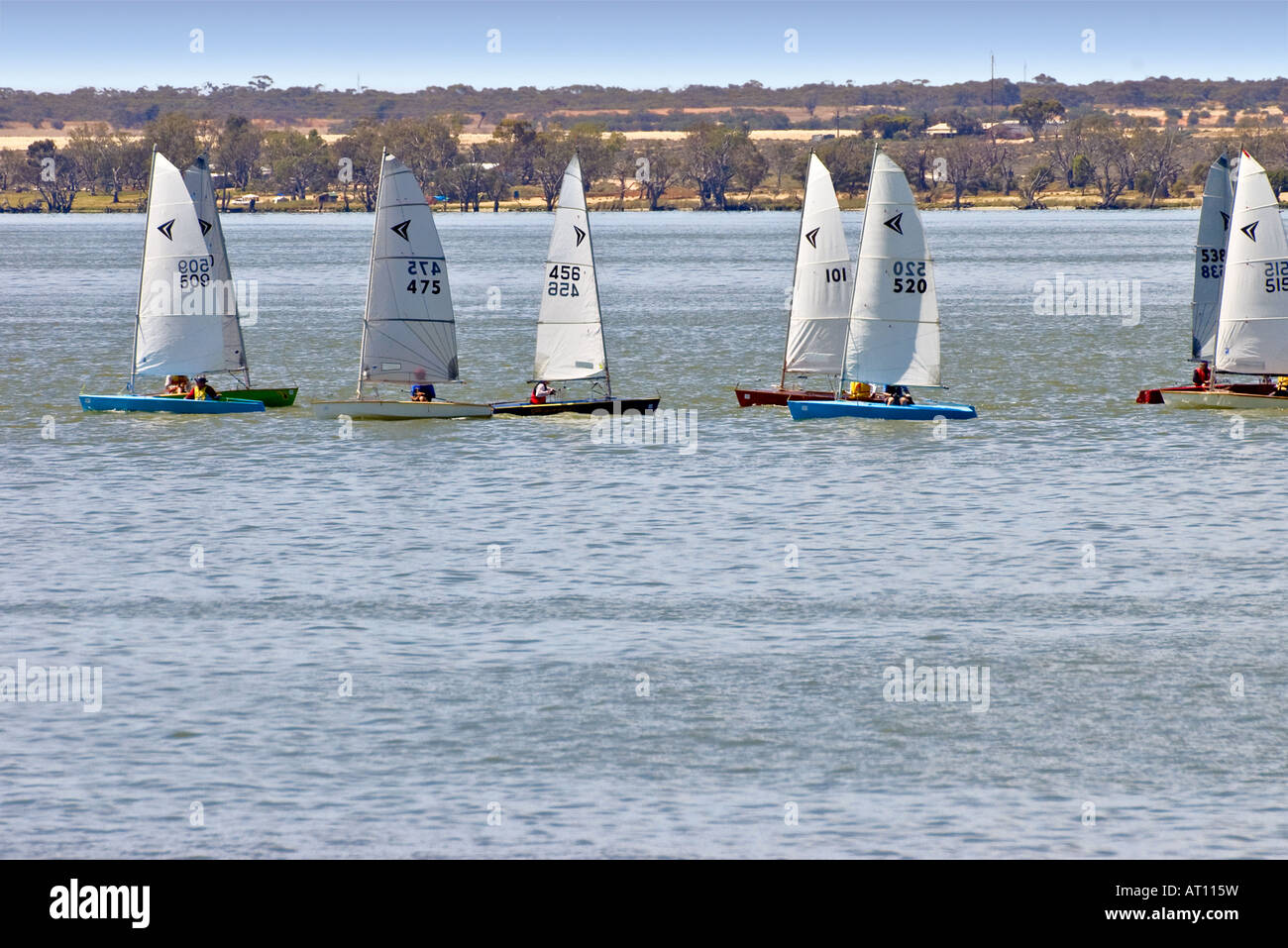 a group of yachts sail around on lake bonney at barmera Stock Photo - Alamy