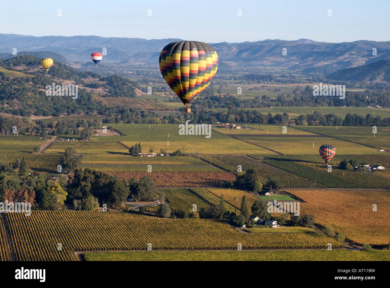 Hot air balloon flies above Napa Valley California Stock Photo - Alamy