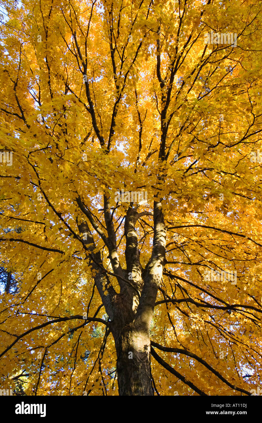 Bernheim hi-res stock photography and images - Alamy