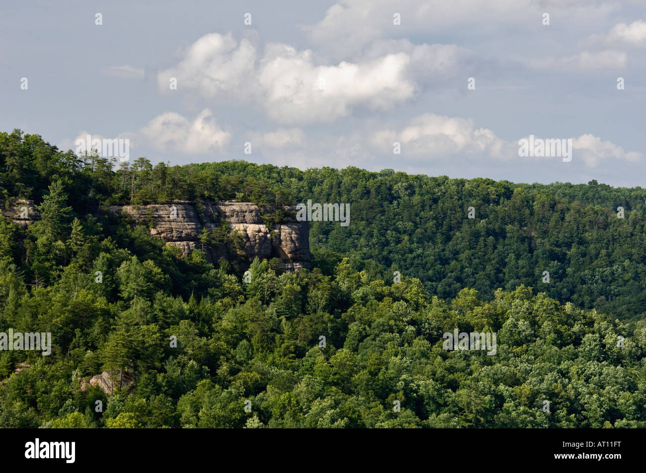 Sandstone Cliffs and Forest at Red River Gorge Geological Area Menifee ...