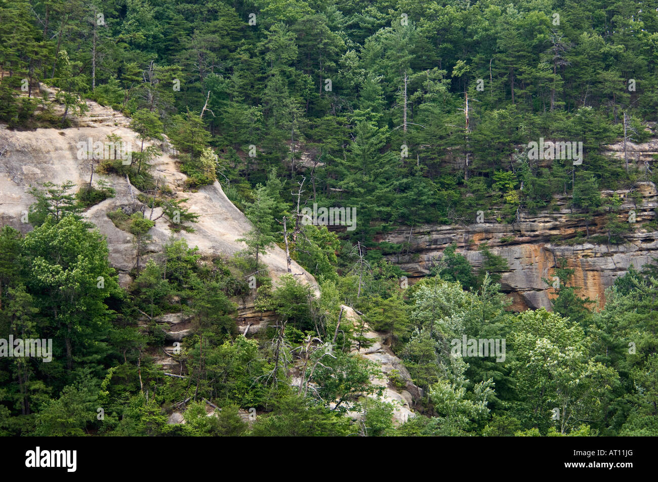 Indian Staircase Red River Gorge