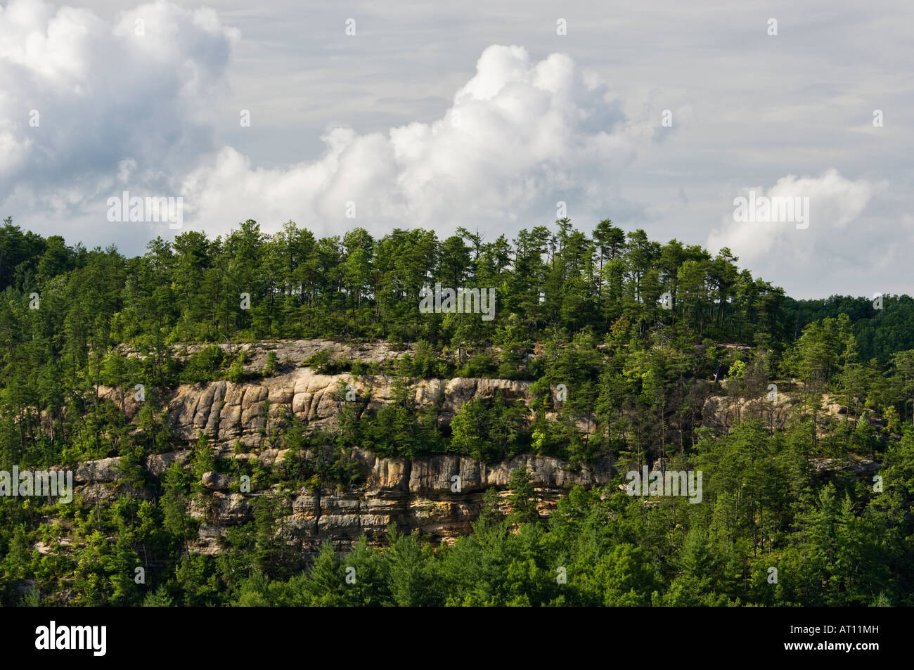 Sandstone Cliffs and Forest at Red River Gorge Geological Area Menifee ...