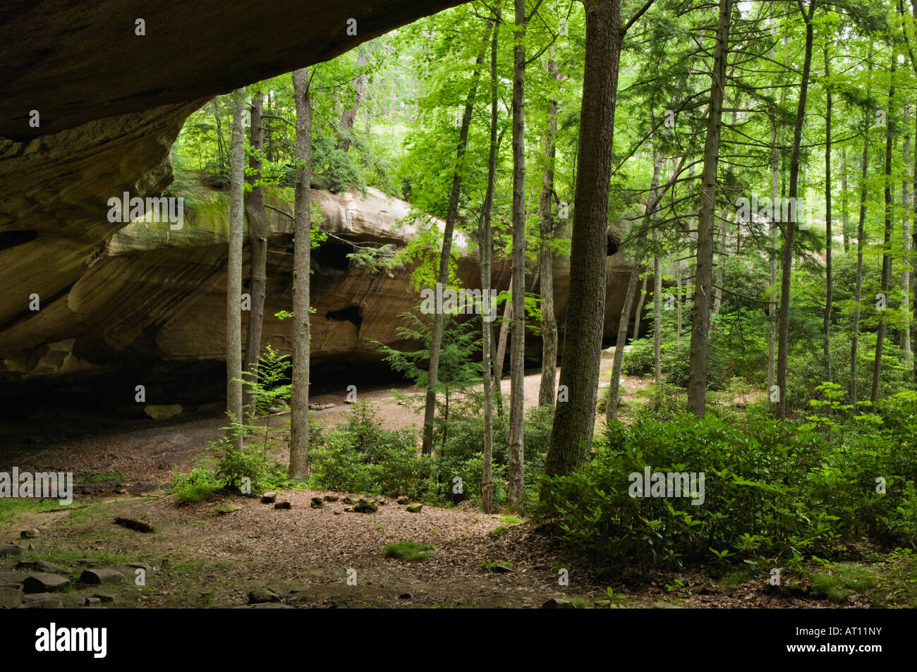 Council Chambers Rock House in Red River Gorge Geological Area Menifee ...