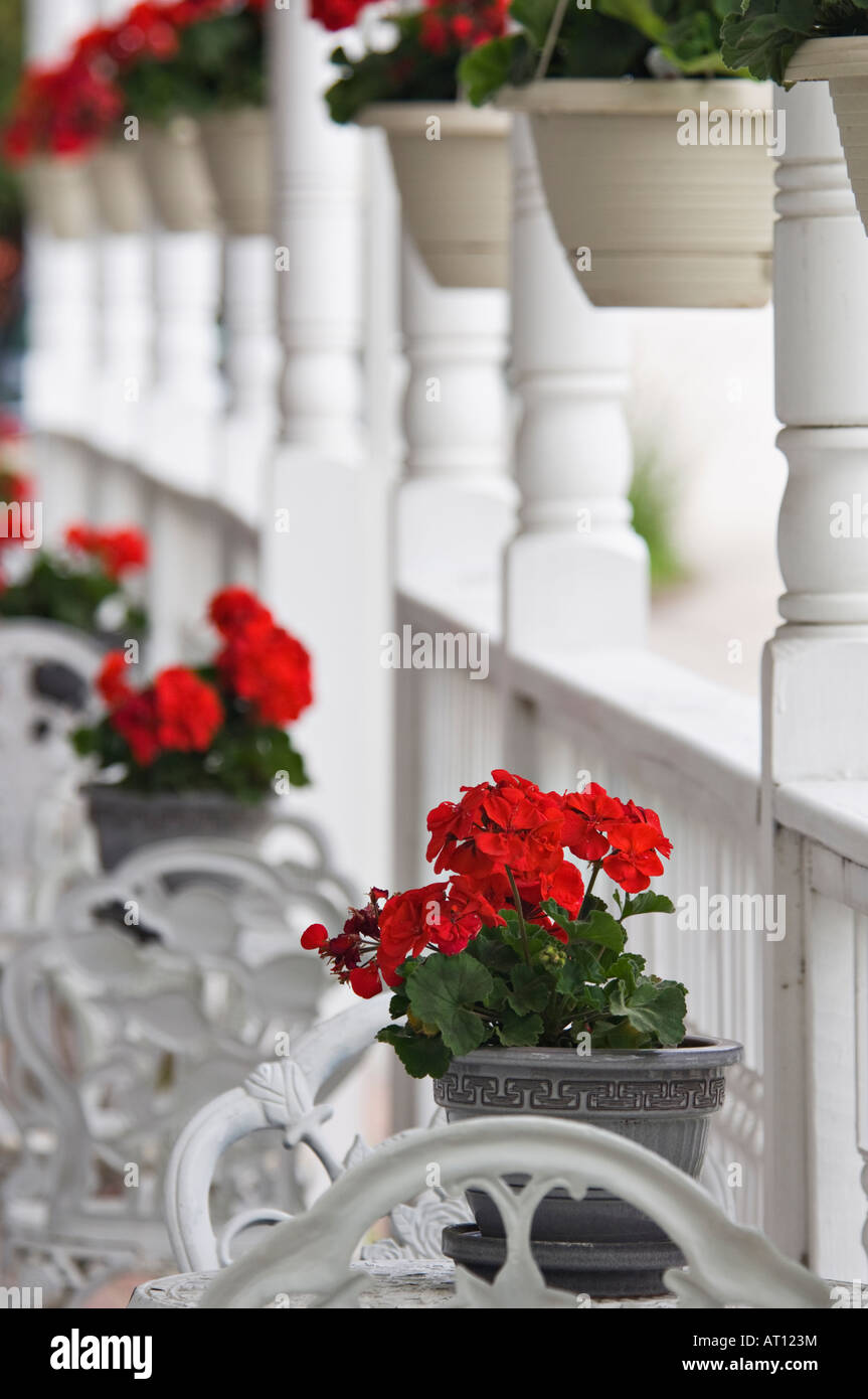 Red Geraniums on Tables and in Hanging Baskets on White Porch Door ...