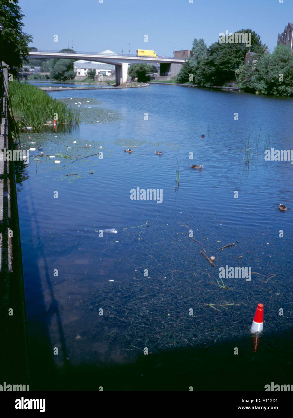 River pollution; rubbish dumped in the River Wear, Durham City, Durham ...