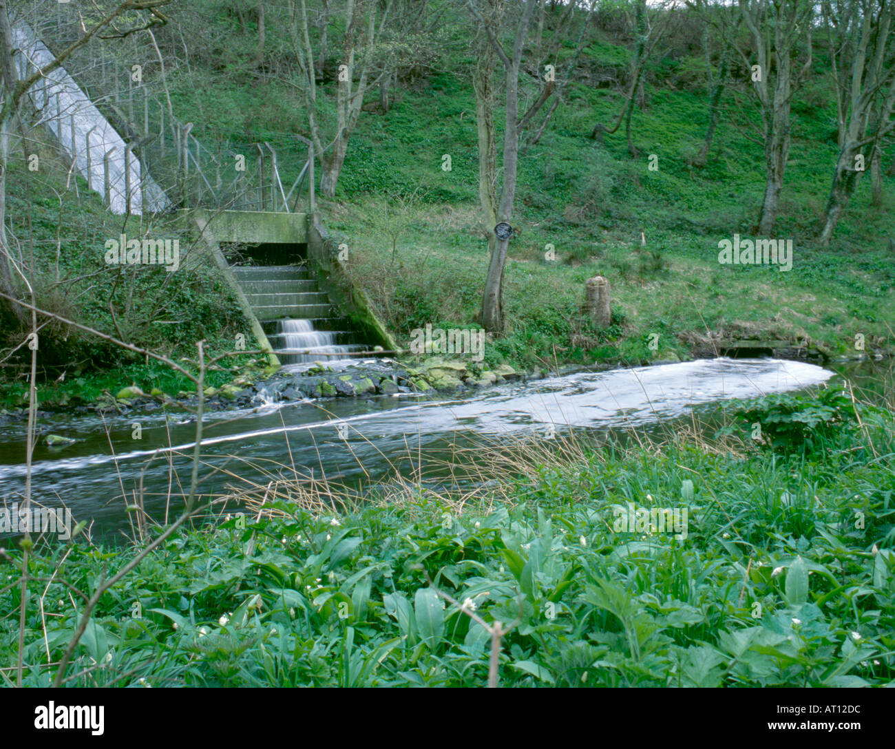 Sewer discharging into a river; the River Blyth, Northumberland ...