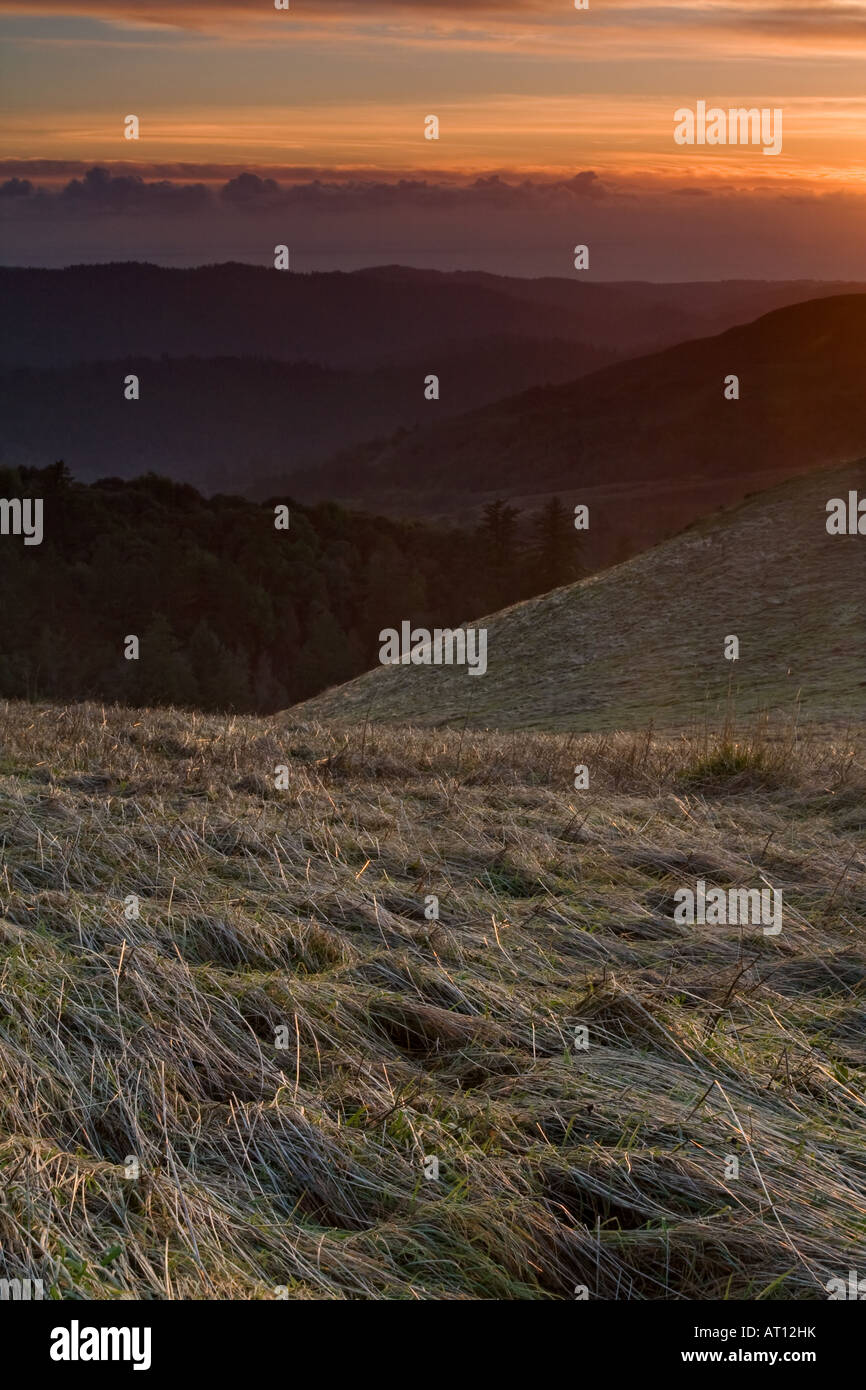 Russian Ridge Preserve High Resolution Stock Photography and Images - Alamy