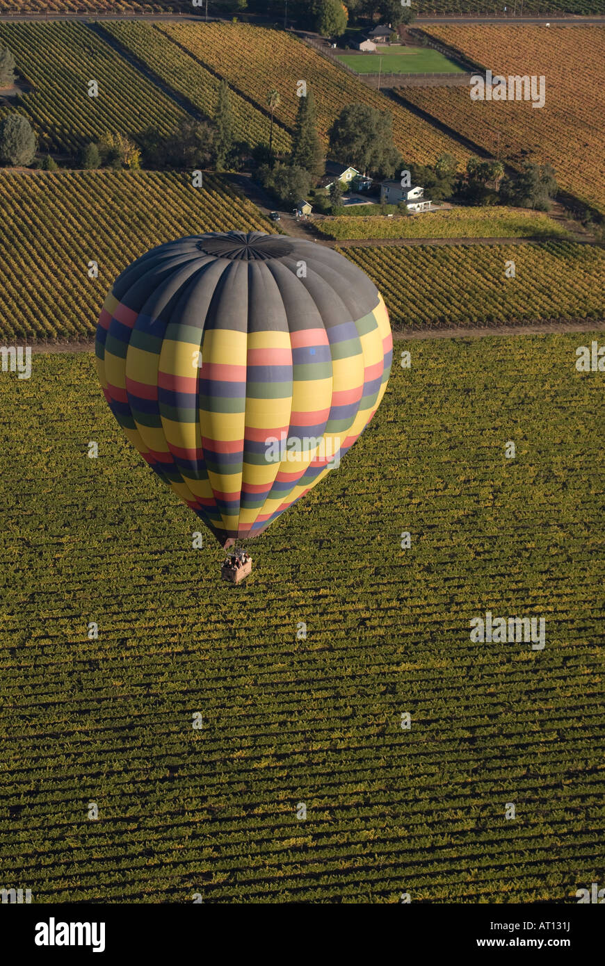 Hot air balloon flies above Napa Valley California Stock Photo - Alamy