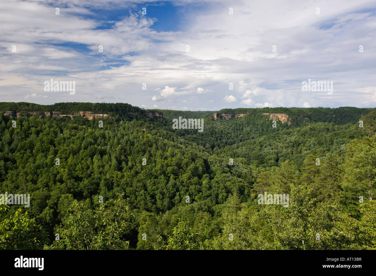 Sandstone Cliffs and Forest at Red River Gorge Geological Area Menifee ...