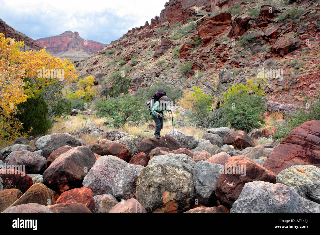 FEMALE BACKPACKER BOULDER HOPPING AND BUSHWHACKING IN THE REMOTE CLEAR ...
