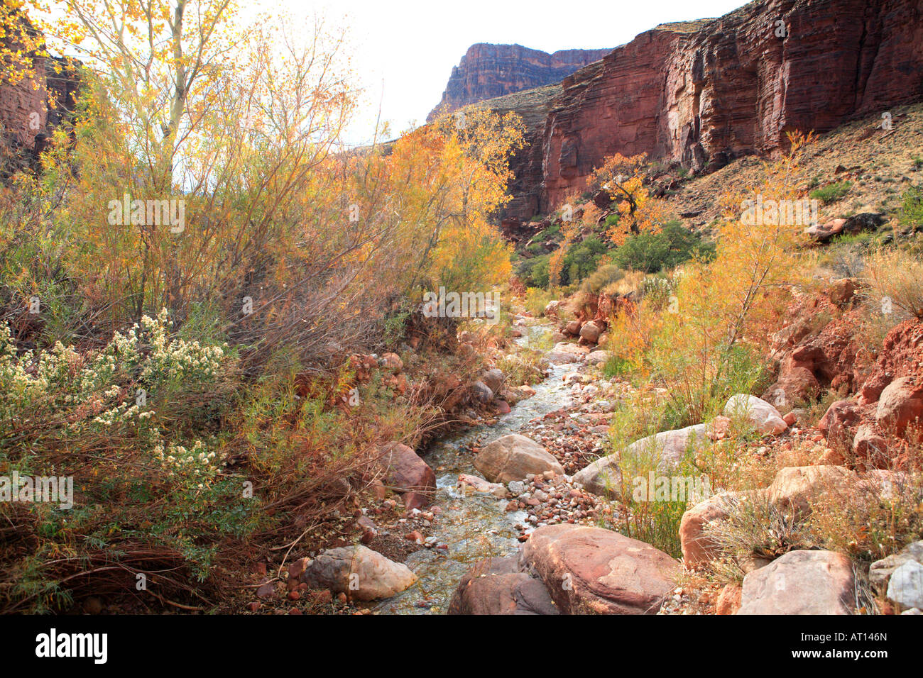 CLEAR CREEK CANYON DEEP WITHIN GRAND CANYON IN GRAND CANYON NATIONAL ...