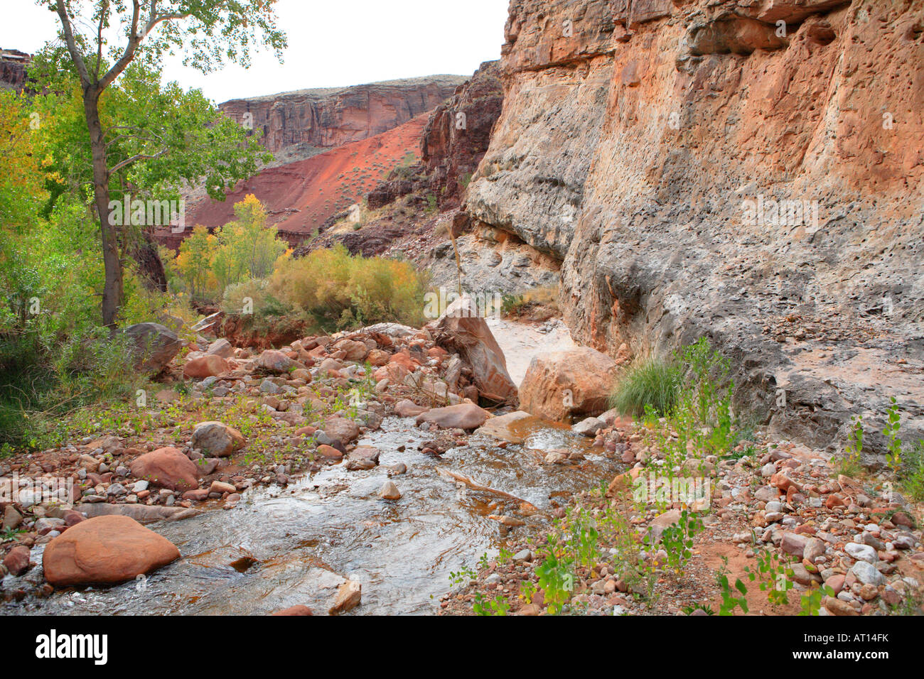 CLEAR CREEK CANYON DEEP INSIDE GRAND CANYON IN GRAND CANYON NATIONAL ...