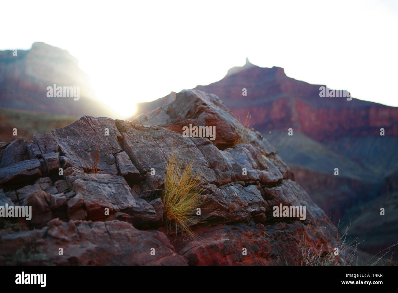 Hot creek gorge hi-res stock photography and images - Alamy