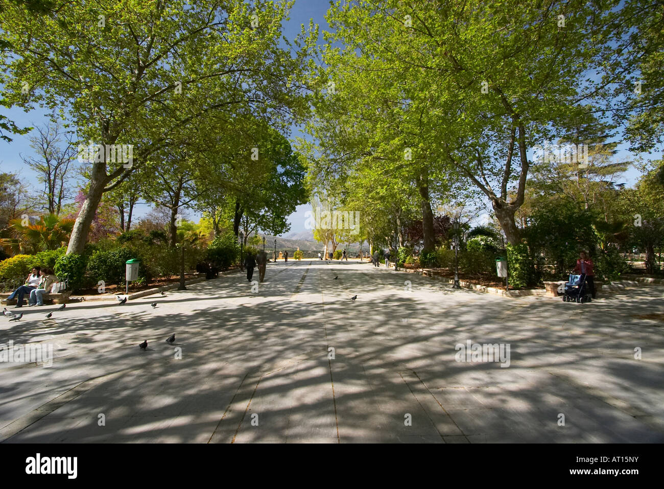 Park in Ronda Stock Photo - Alamy