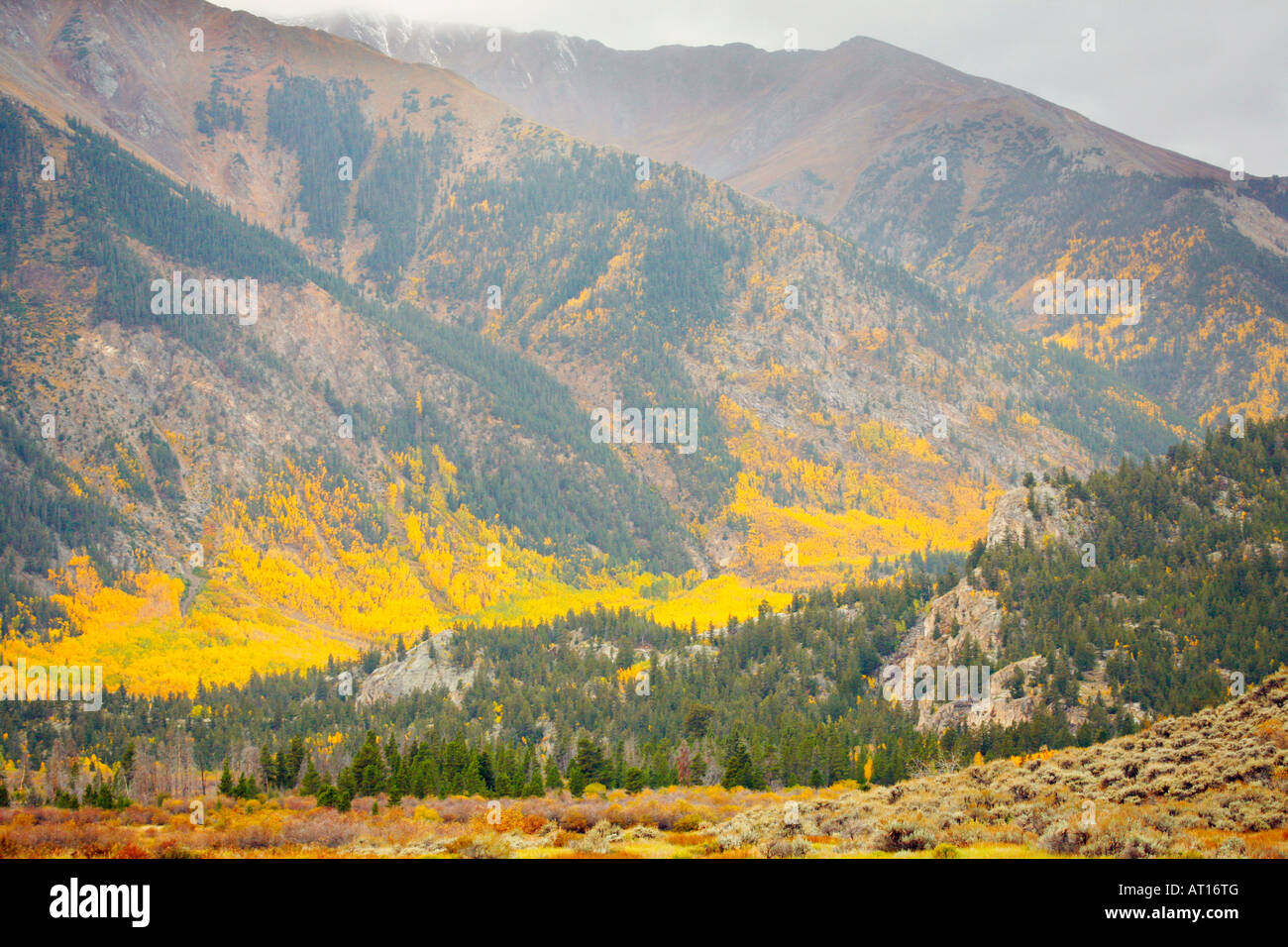 San Isabel National Forest, Colorado Stock Photo - Alamy