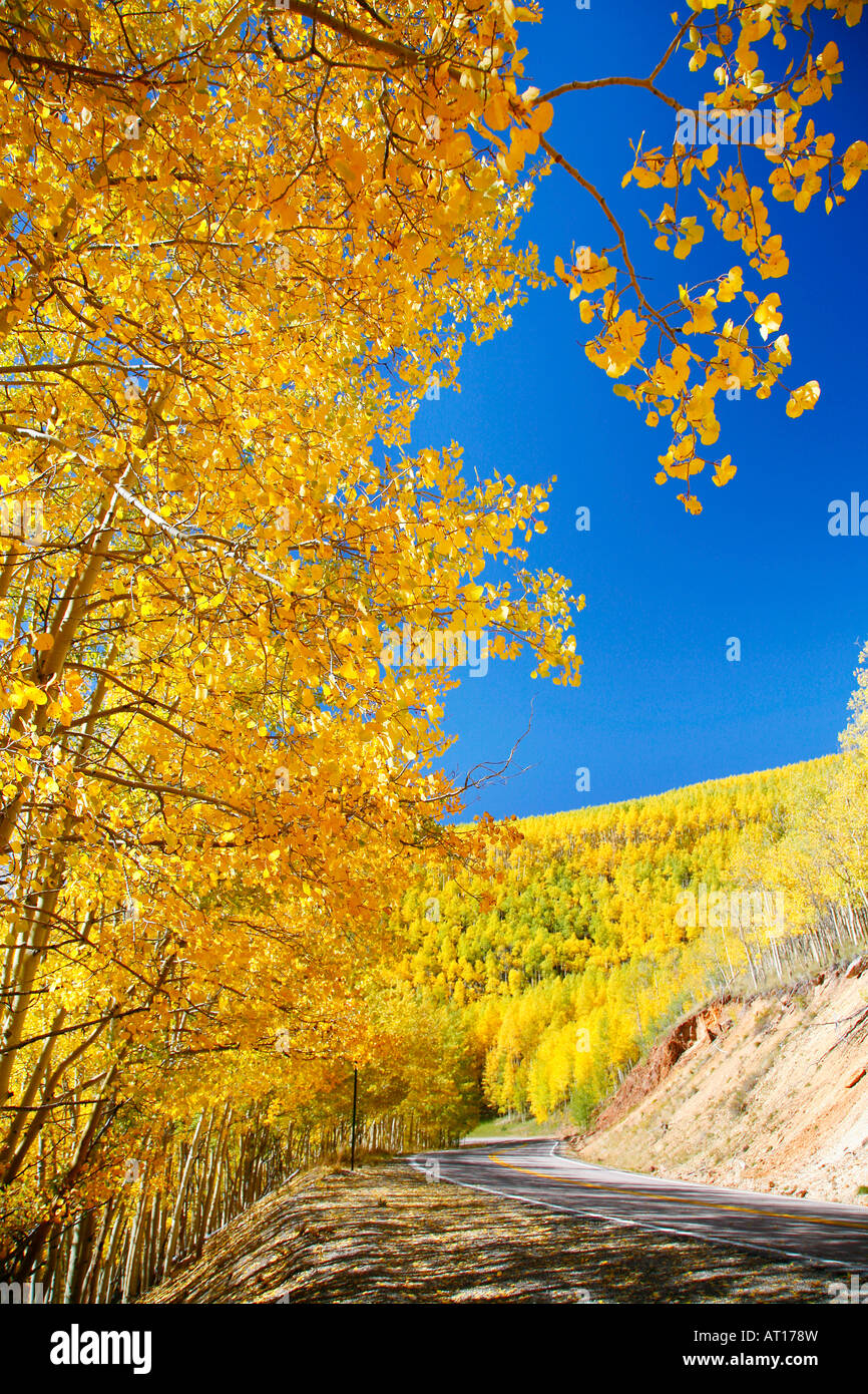 Ascent to Slumgullion Pass on Highway 149, Uncompahgre National Forest ...