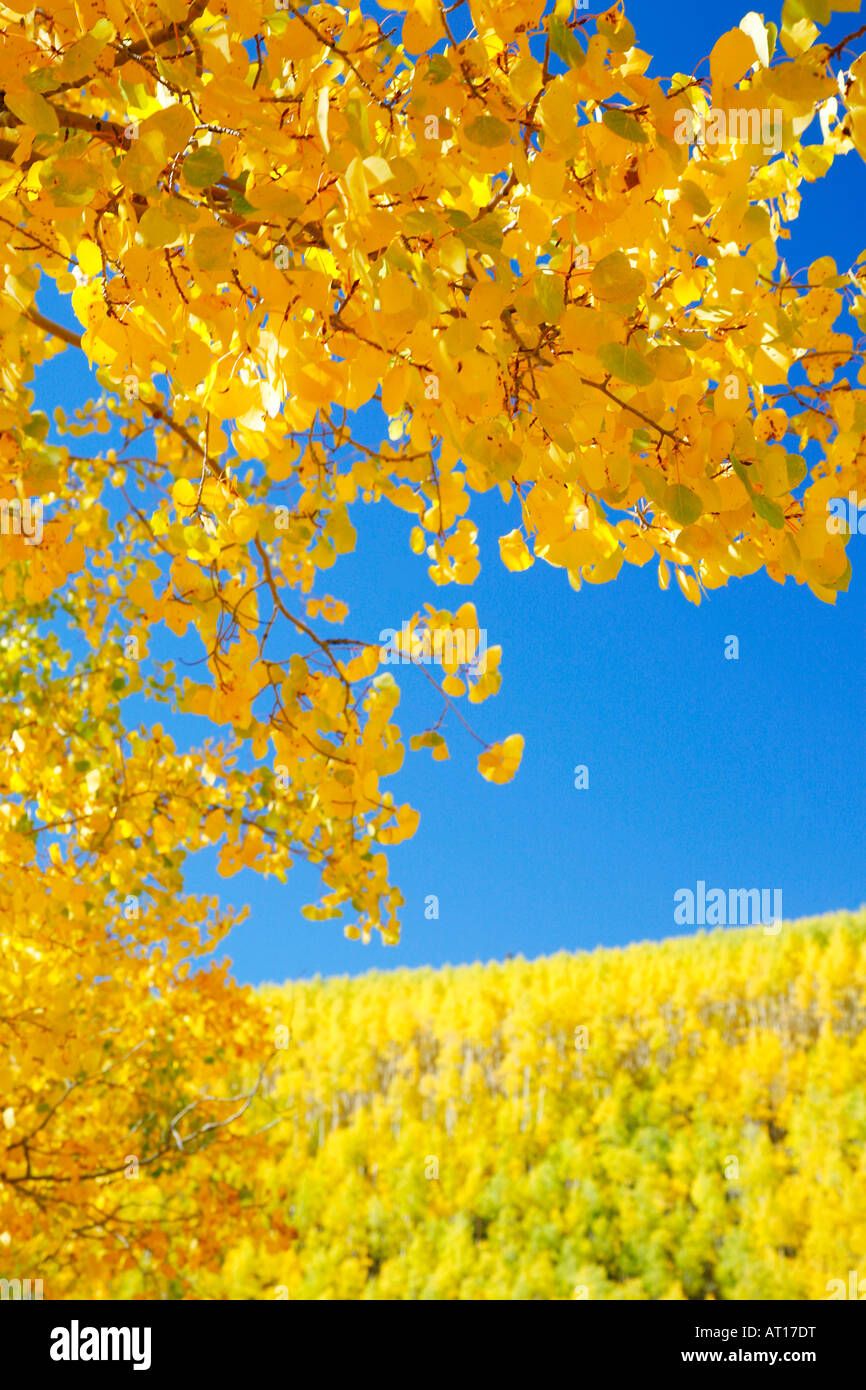 Colorado highway 149 hi-res stock photography and images - Alamy