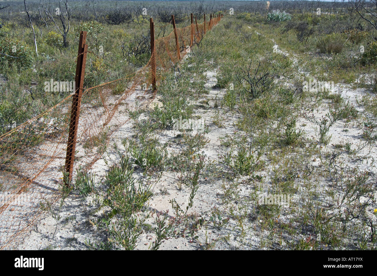 Rabbit proof fence australia hi-res stock photography and images - Alamy