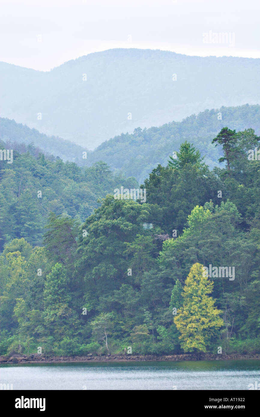 View of Little Tennessee River Forest and Mountains Shrouded in Mist ...