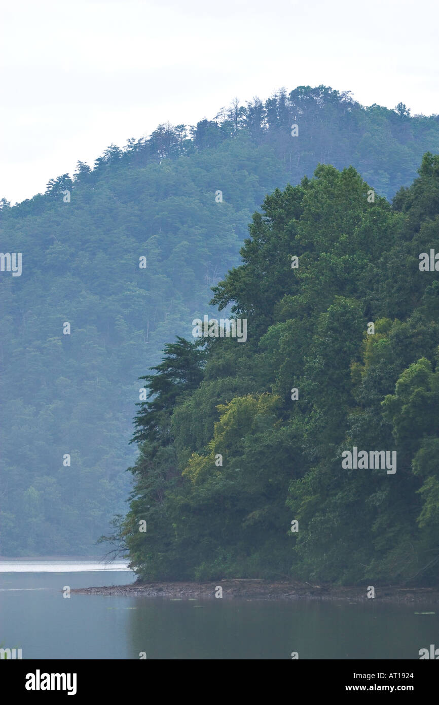 View of Little Tennessee River Forest and Mountains Shrouded in Mist ...