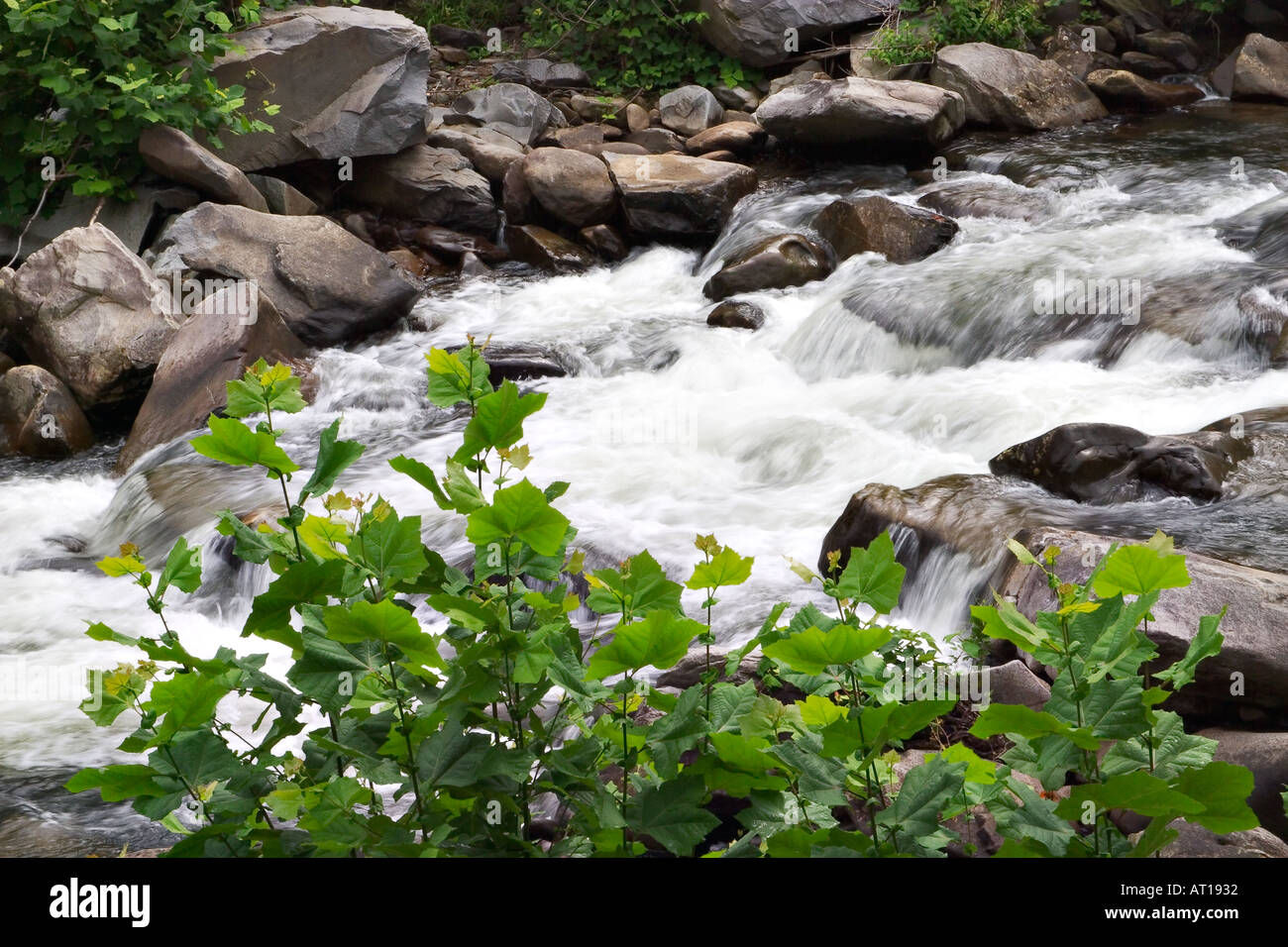 Cheoah river hi-res stock photography and images - Alamy
