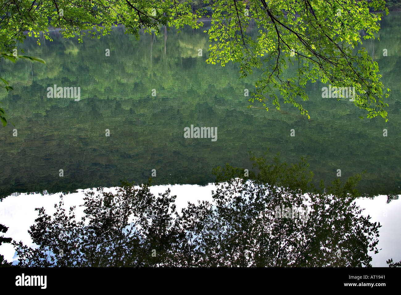 Abstract View of Little Tennessee River Trees Reflected in Water Tapoco ...