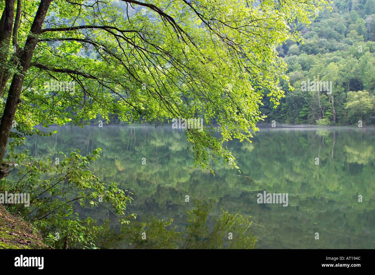 View of Little Tennessee River Forest and Mountains Shrouded in Mist ...
