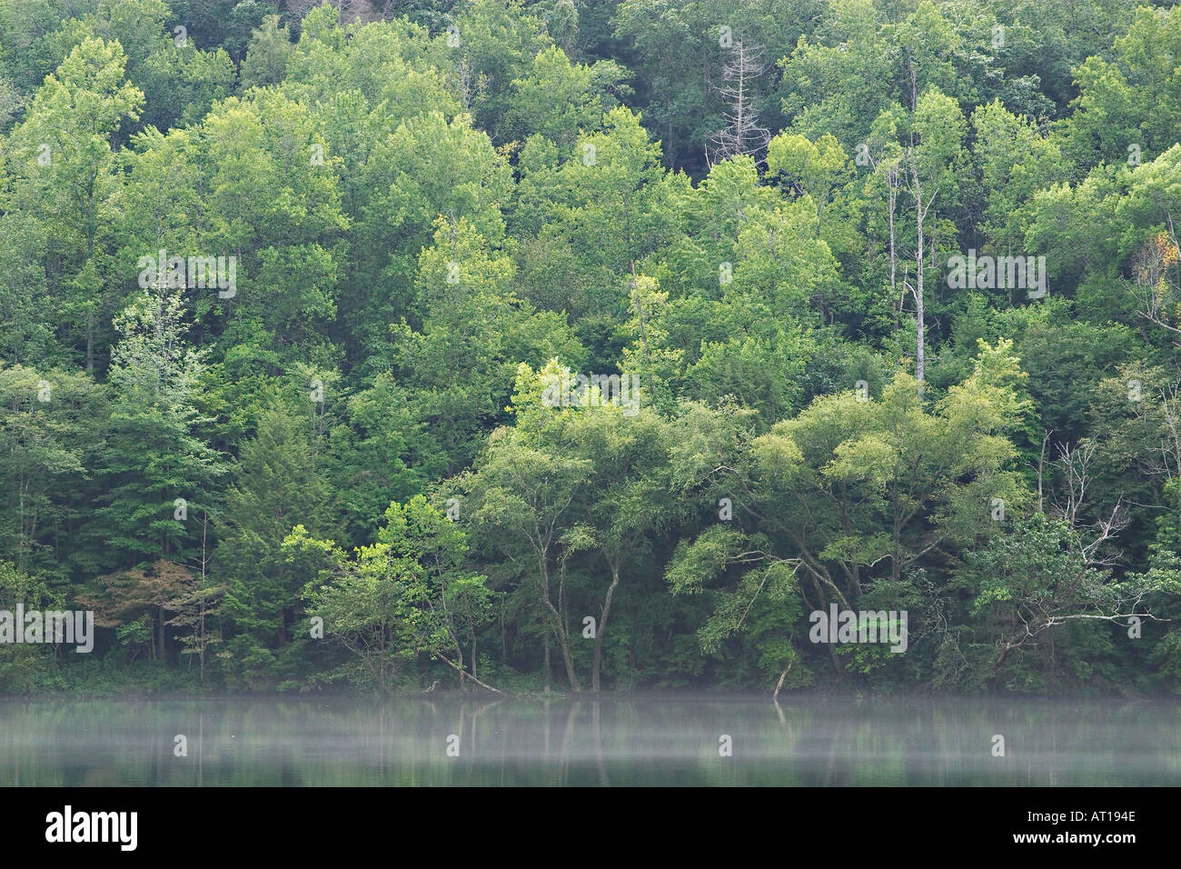 View of Little Tennessee River Forest and Mountains Shrouded in Mist ...