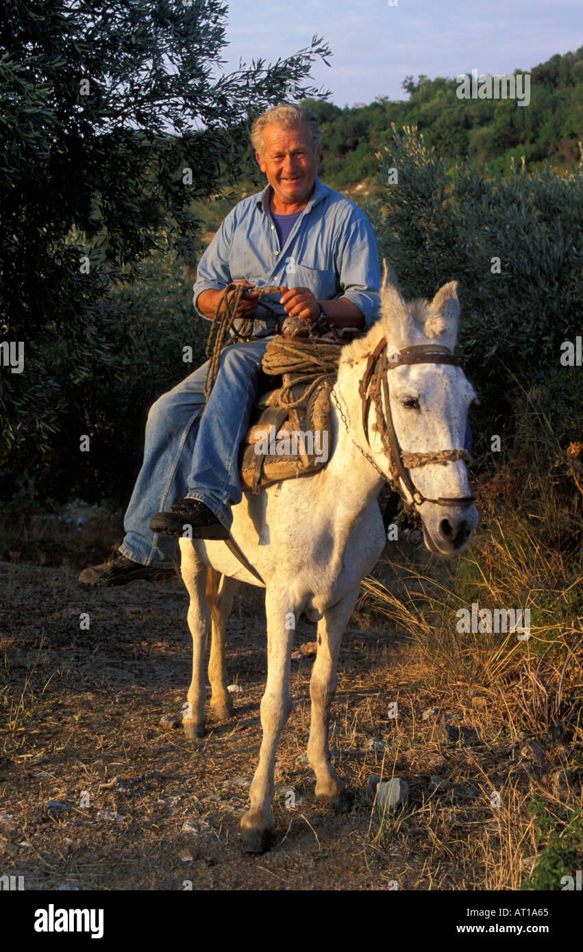 Greece, Skiathos Island, old man riding on a Donkey Stock Photo - Alamy