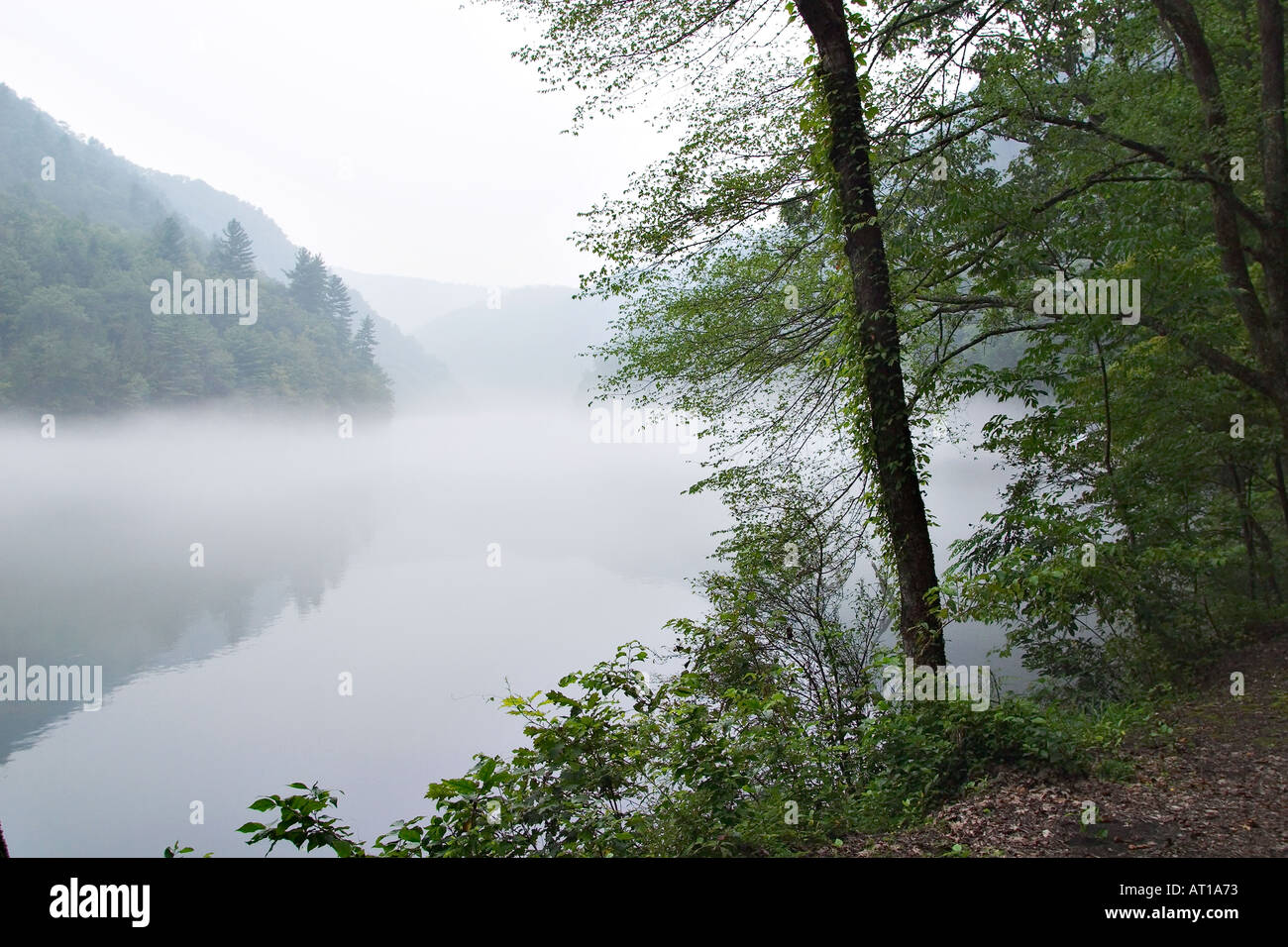 View of Little Tennessee River Forest and Mountains Shrouded in Mist ...