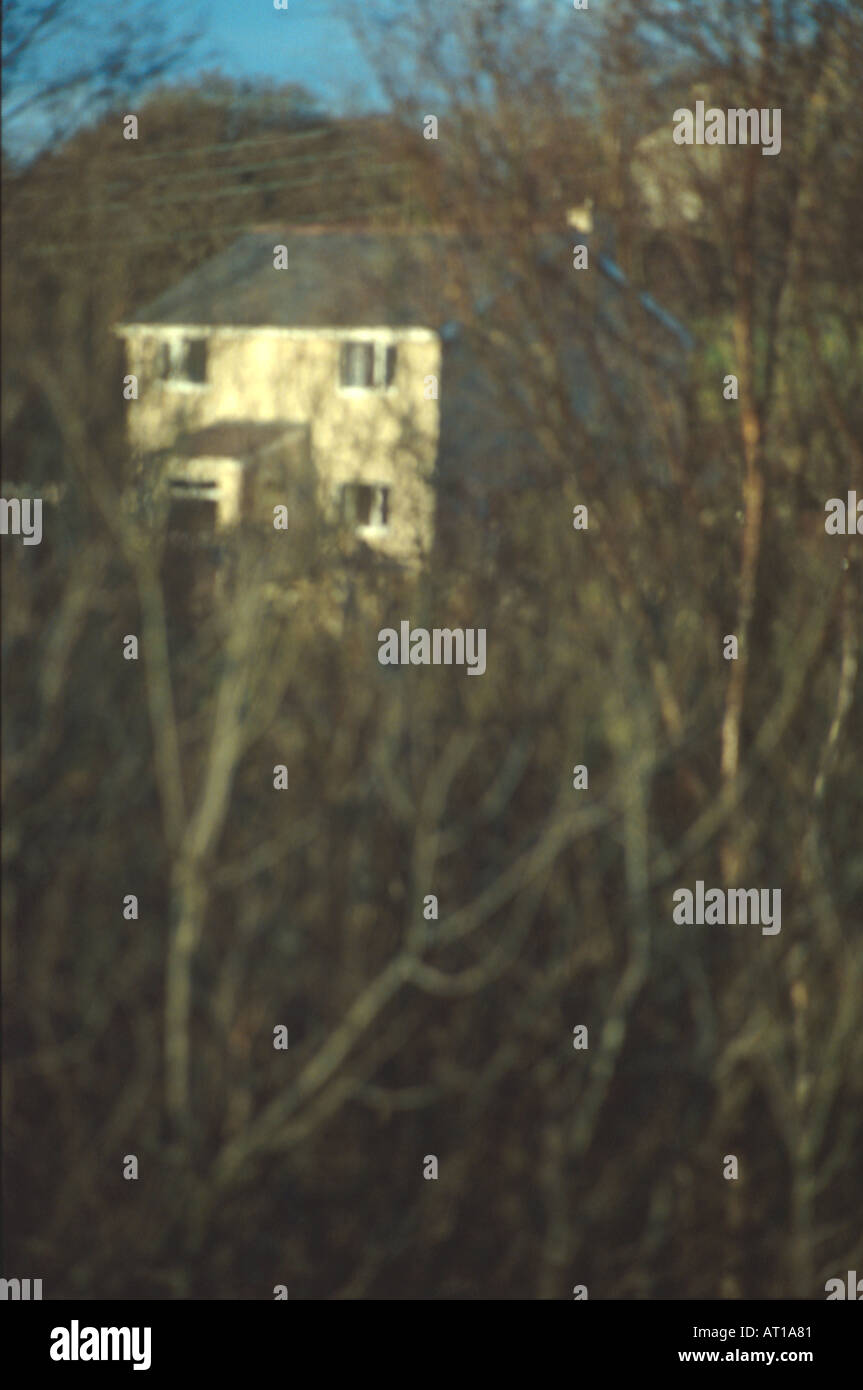 secluded house through trees Stock Photo - Alamy