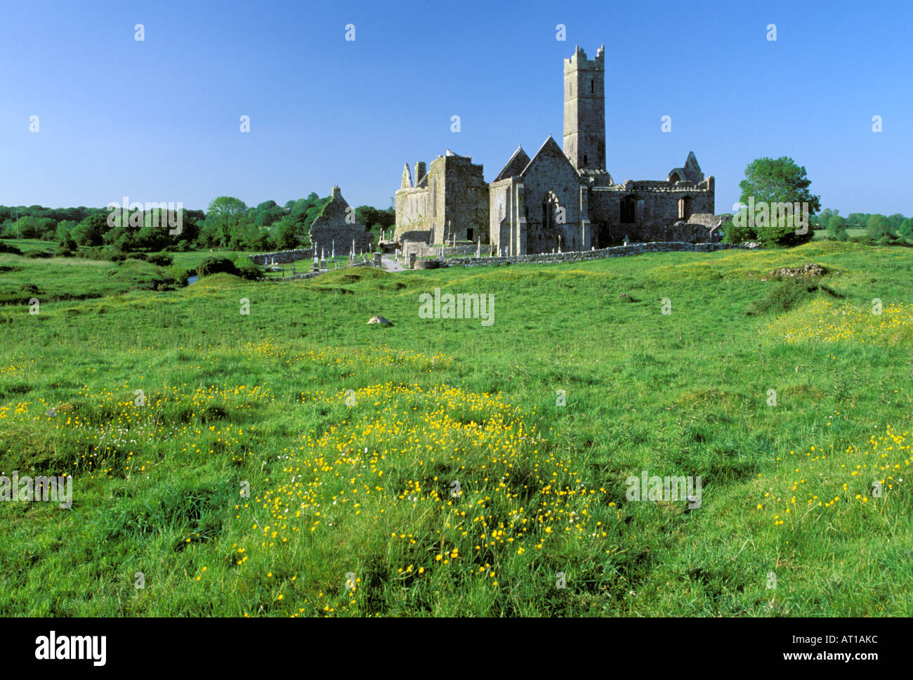 Quin Abbey High Resolution Stock Photography and Images - Alamy