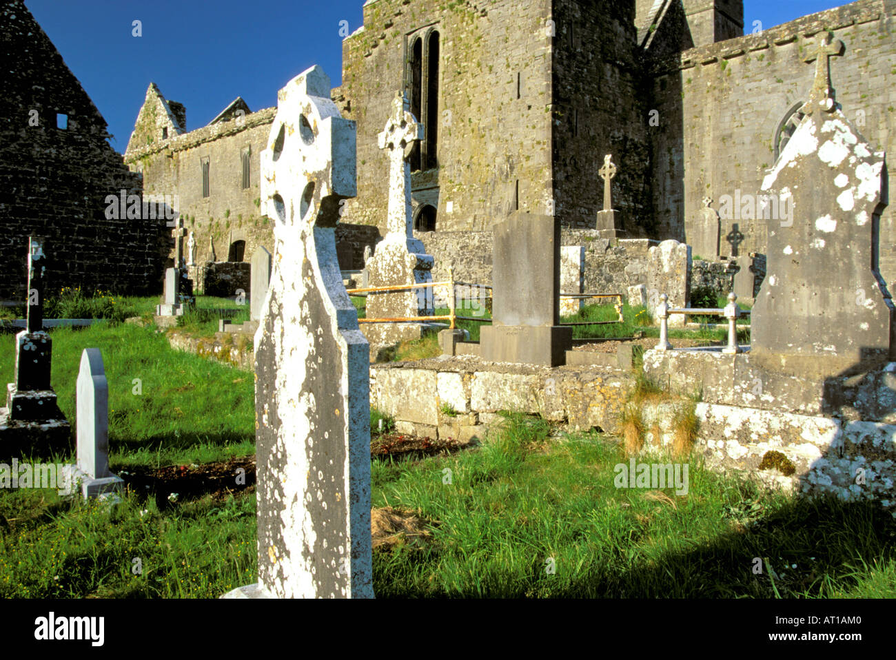 Abby cross hi-res stock photography and images - Alamy