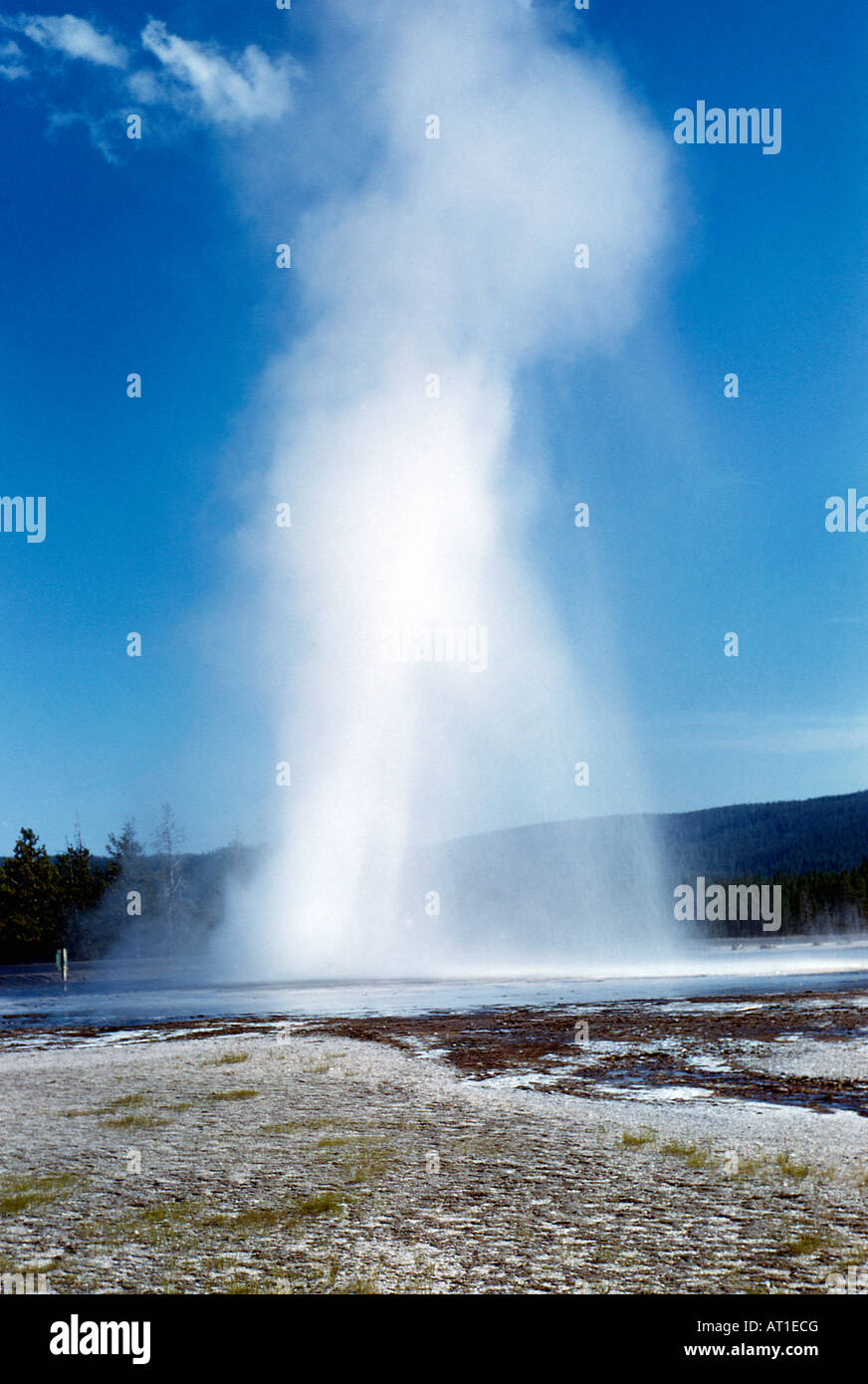 Daisy Geyser, Yellowstone National Park Stock Photo - Alamy