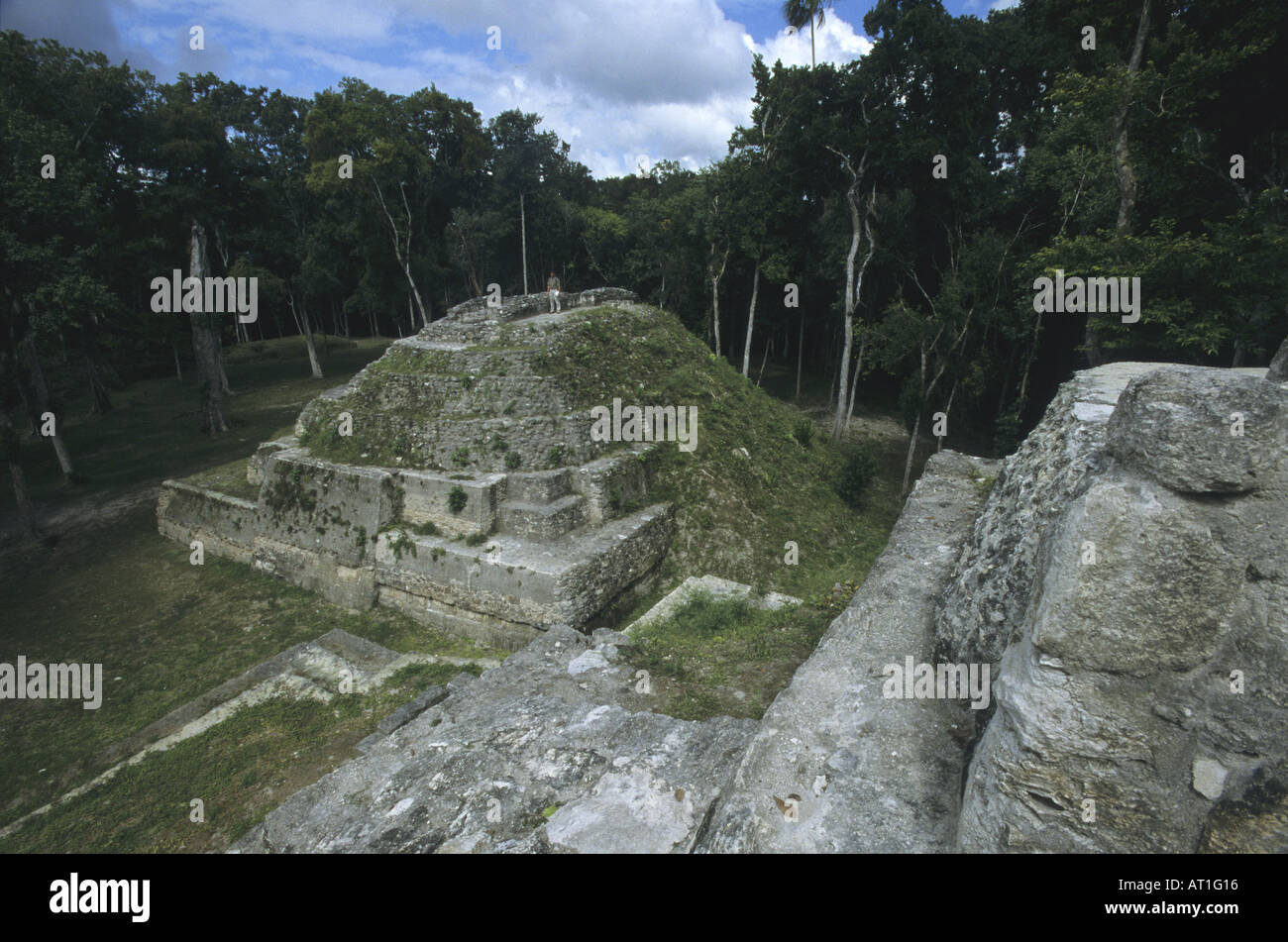 Twin pyramids Peten Guatemala Mayan art Stock Photo - Alamy