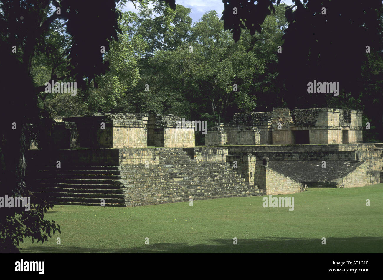 Altar 0 y Altar 41 Mayan ruins of Copan Honduras Stock Photo - Alamy