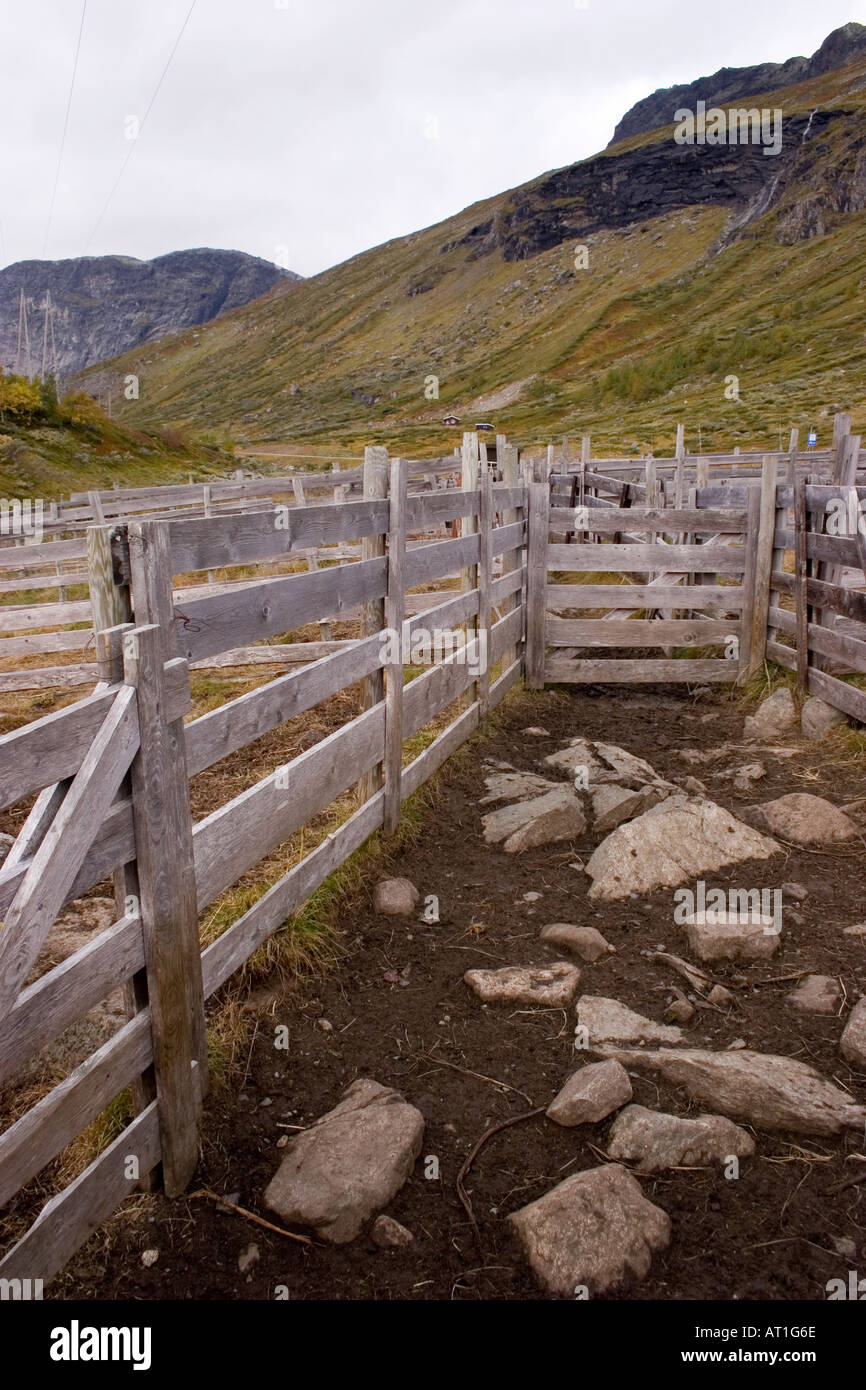 Sheep pens hi-res stock photography and images - Alamy